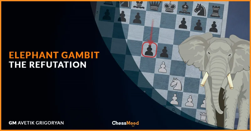 Refute the Elephant Gambit (1.e4 e5 2.Nf3 d5)