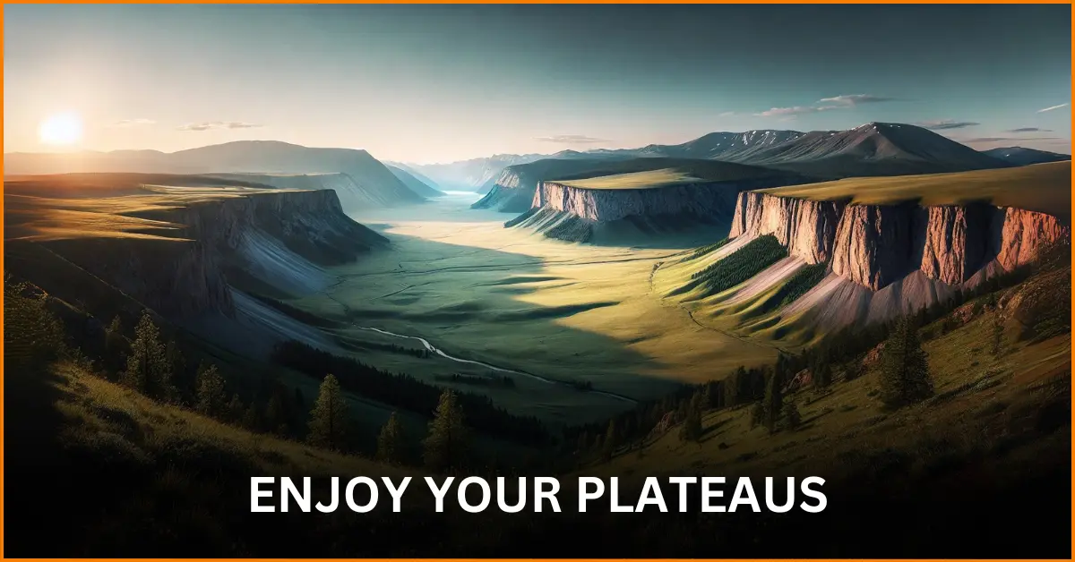 Enjoy Your Plateaus